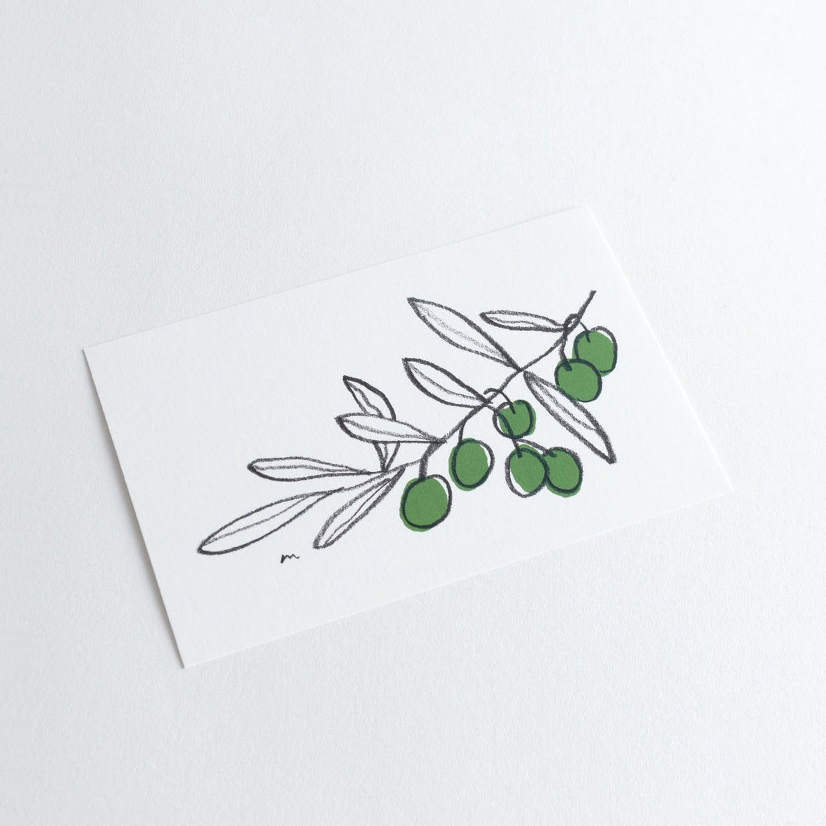 ポストカード(olive and dove/olive branch) – BASIC AND ACCENT ONLINE STORE